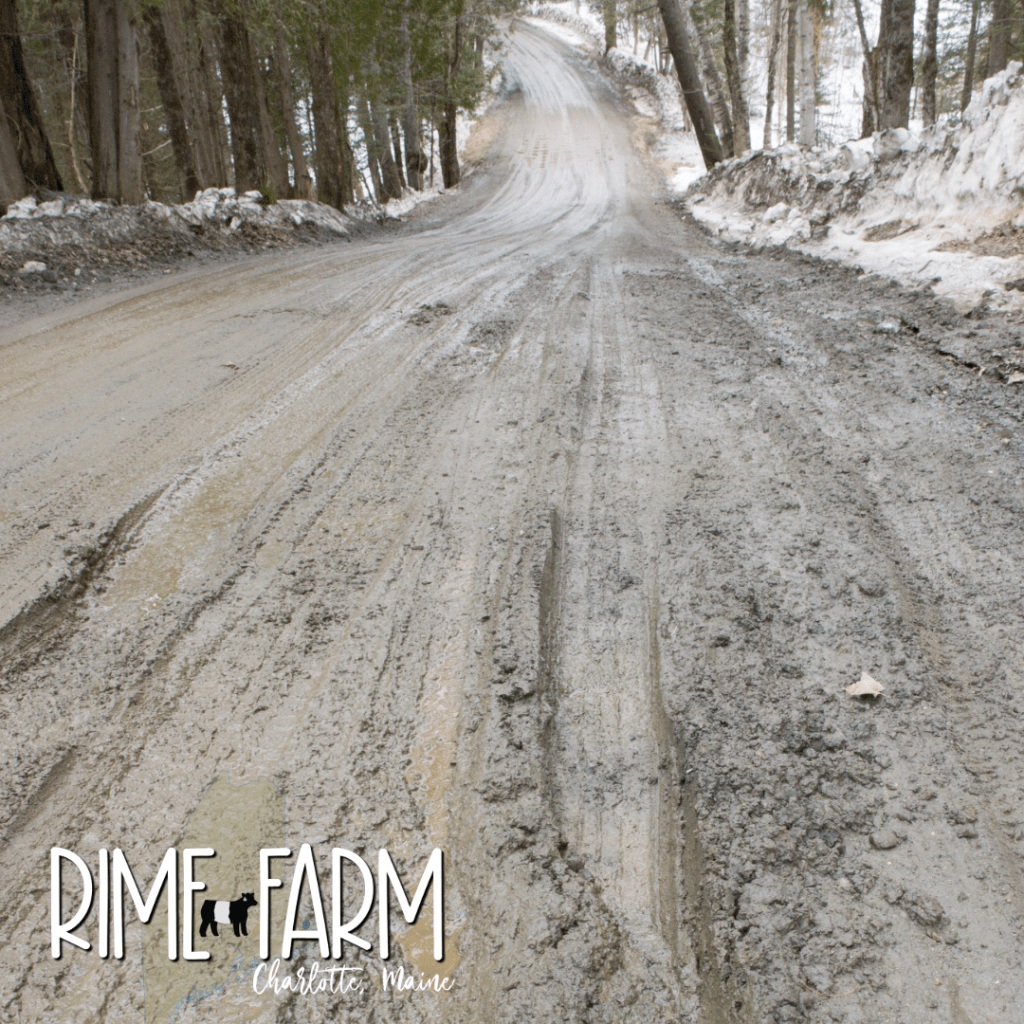 Prepare for Spring: Tips to Conquer Mud Season and Start Strong! - Rime ...